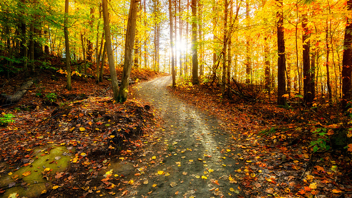 FALL HIKING | InterGlobix Magazine